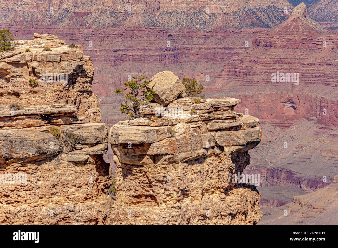 Grand Canyon Arizona South Rim near Mather Point Stock Photo - Alamy