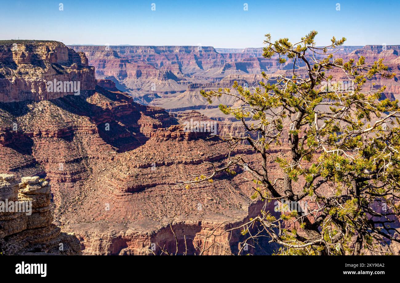 Grand Canyon Arizona South Rim near Mather Point Stock Photo - Alamy