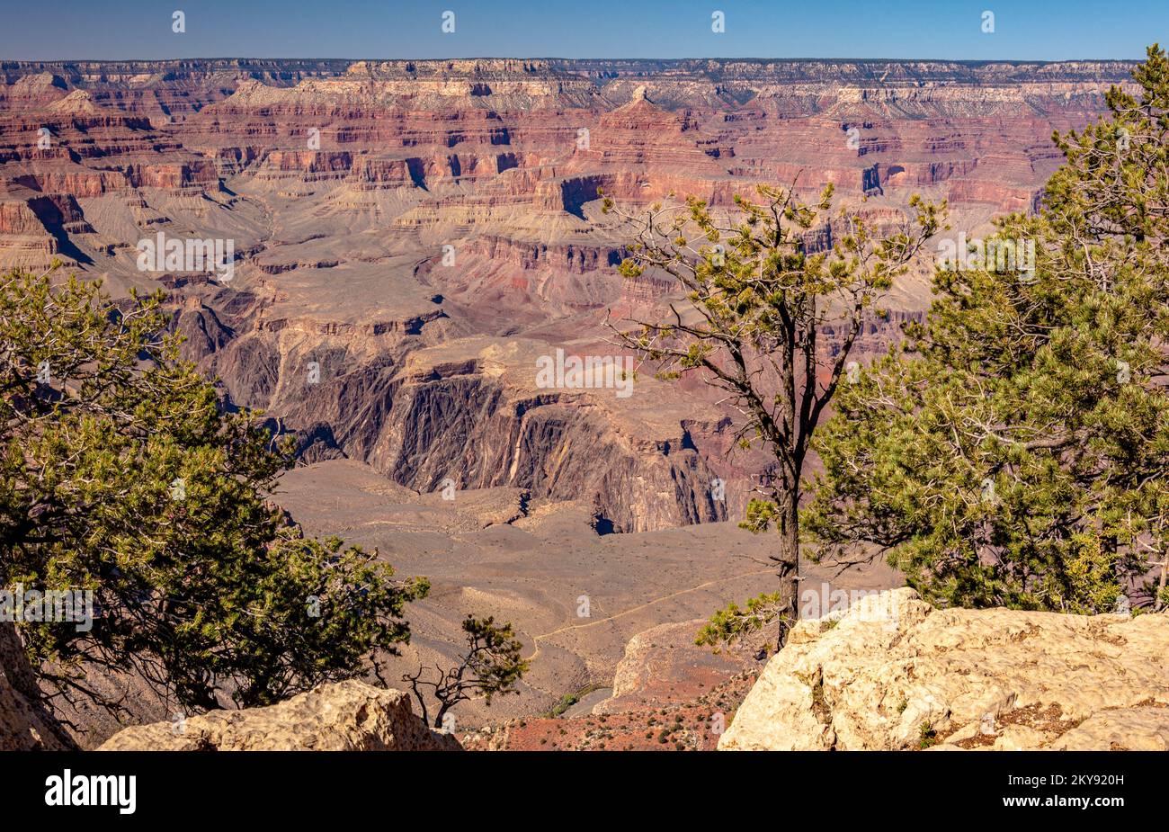 Grand Canyon Arizona South Rim near Mather Point Stock Photo - Alamy
