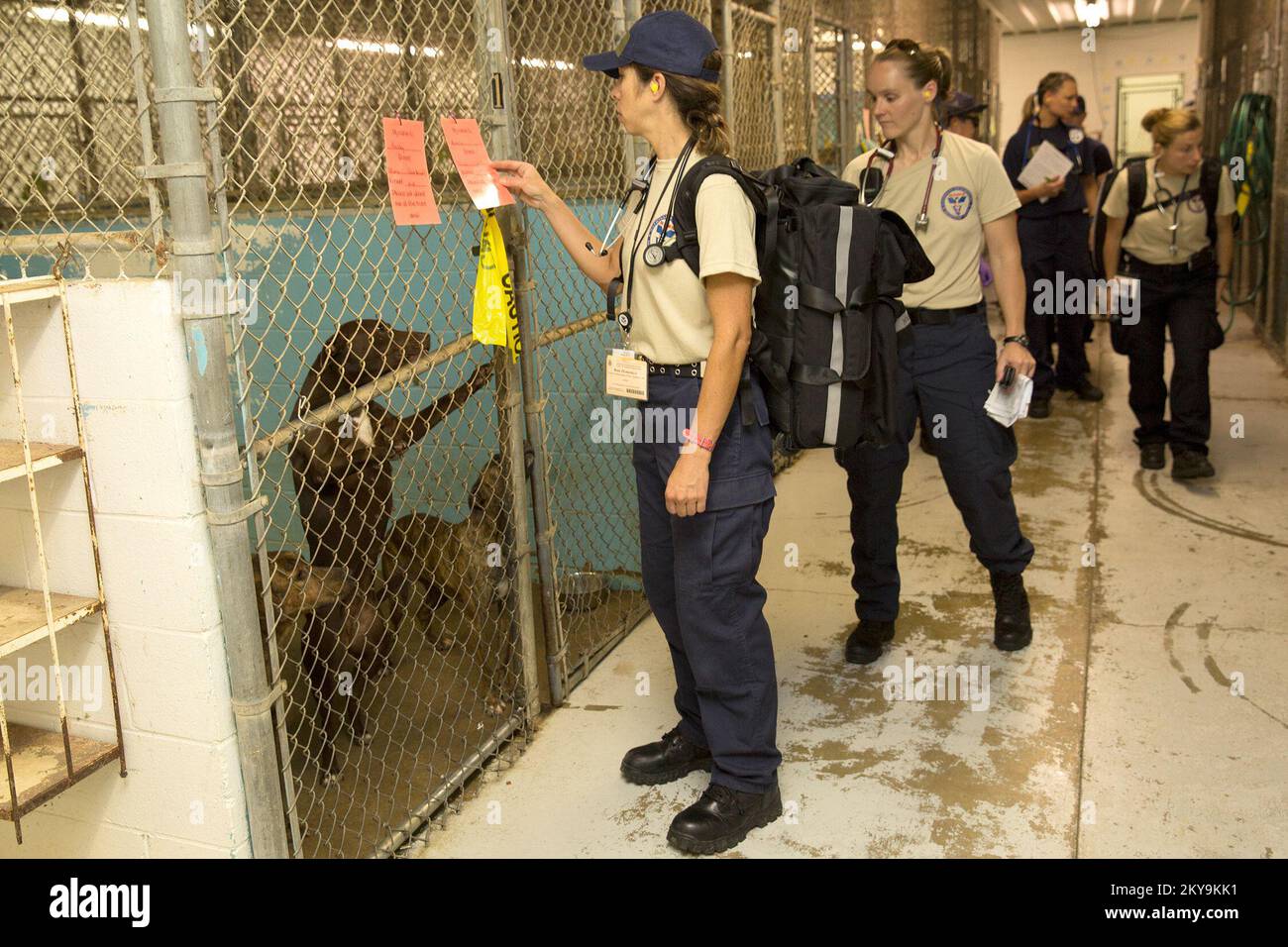 30 members hi-res stock photography and images - Alamy