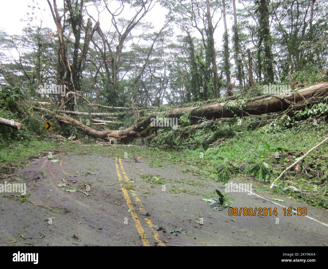 Hurricane Iselle Damage