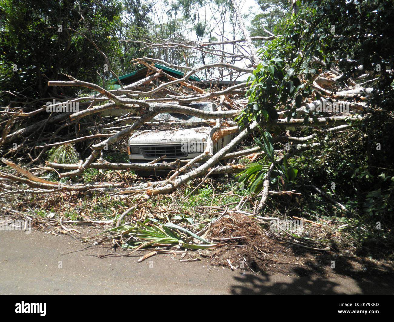 Hurricane Iselle Damage