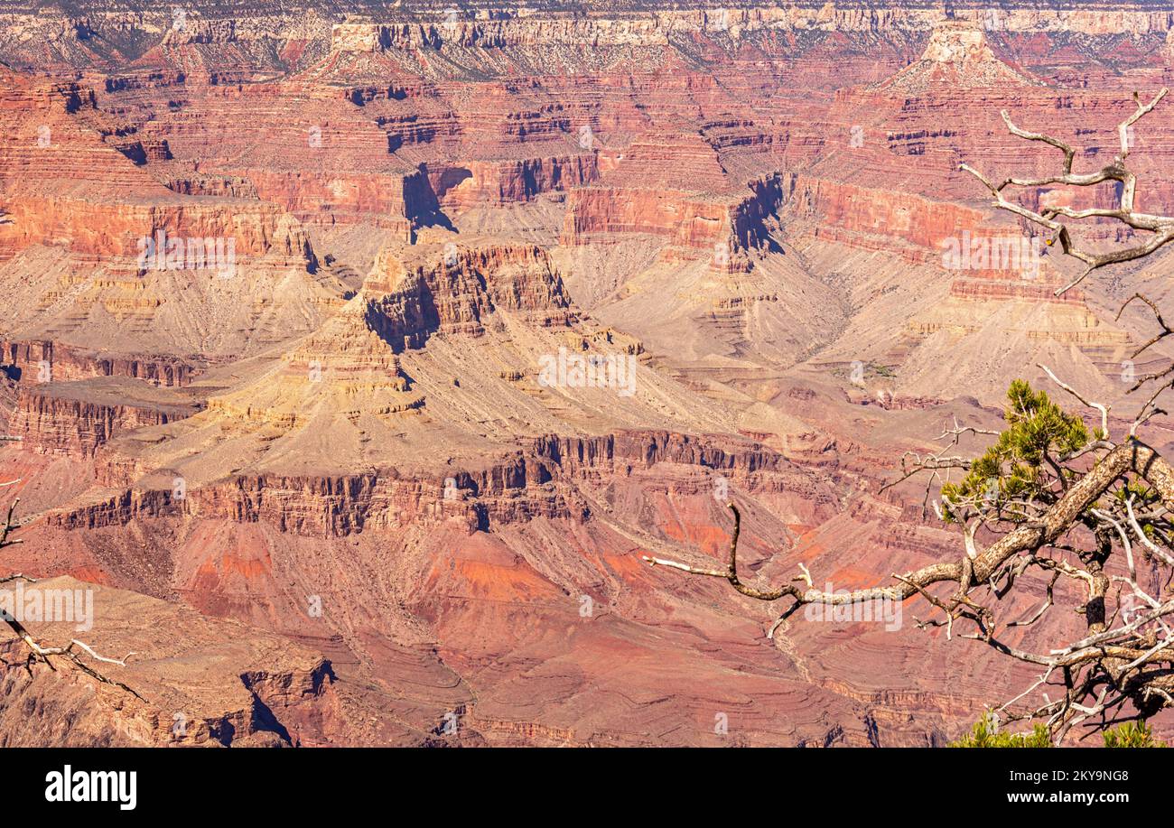 Grand Canyon Arizona South Rim near Mather Point Stock Photo - Alamy