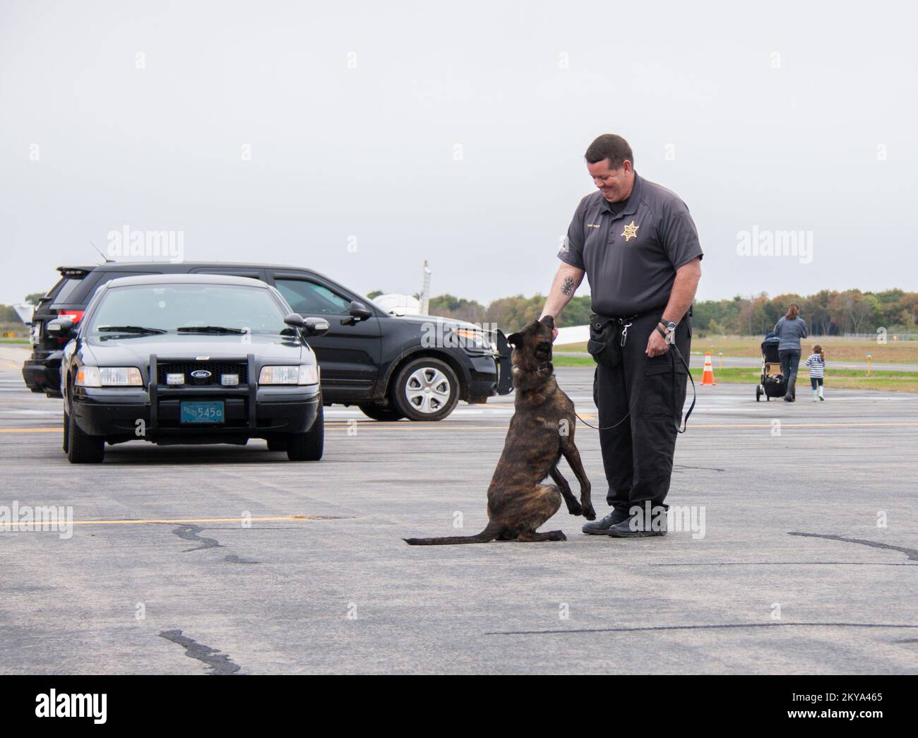 Marshfield's K-9 demonstration was easily the highlight of the town's ...
