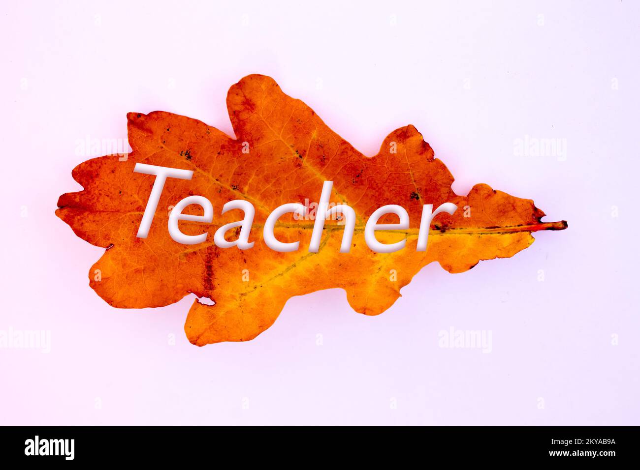 Autumn leaves, objects with Teacher text. Natural patterns, color ...