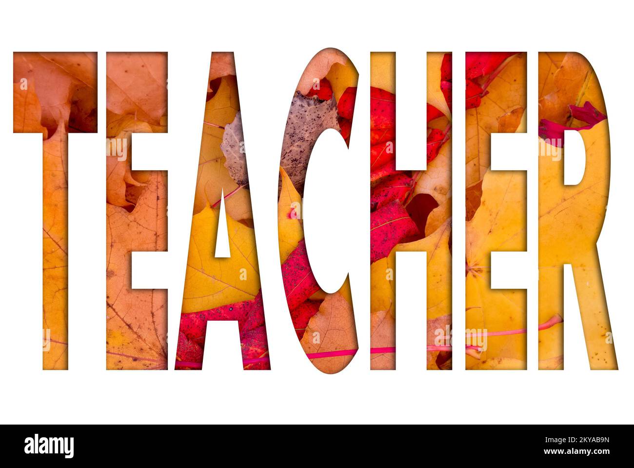 Autumn leaves, objects with Teacher text. Natural patterns, color ...