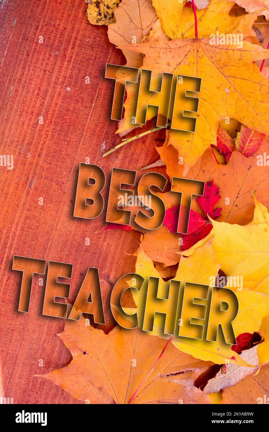 Autumn leaves, objects with The Best Teacher text. Natural patterns ...
