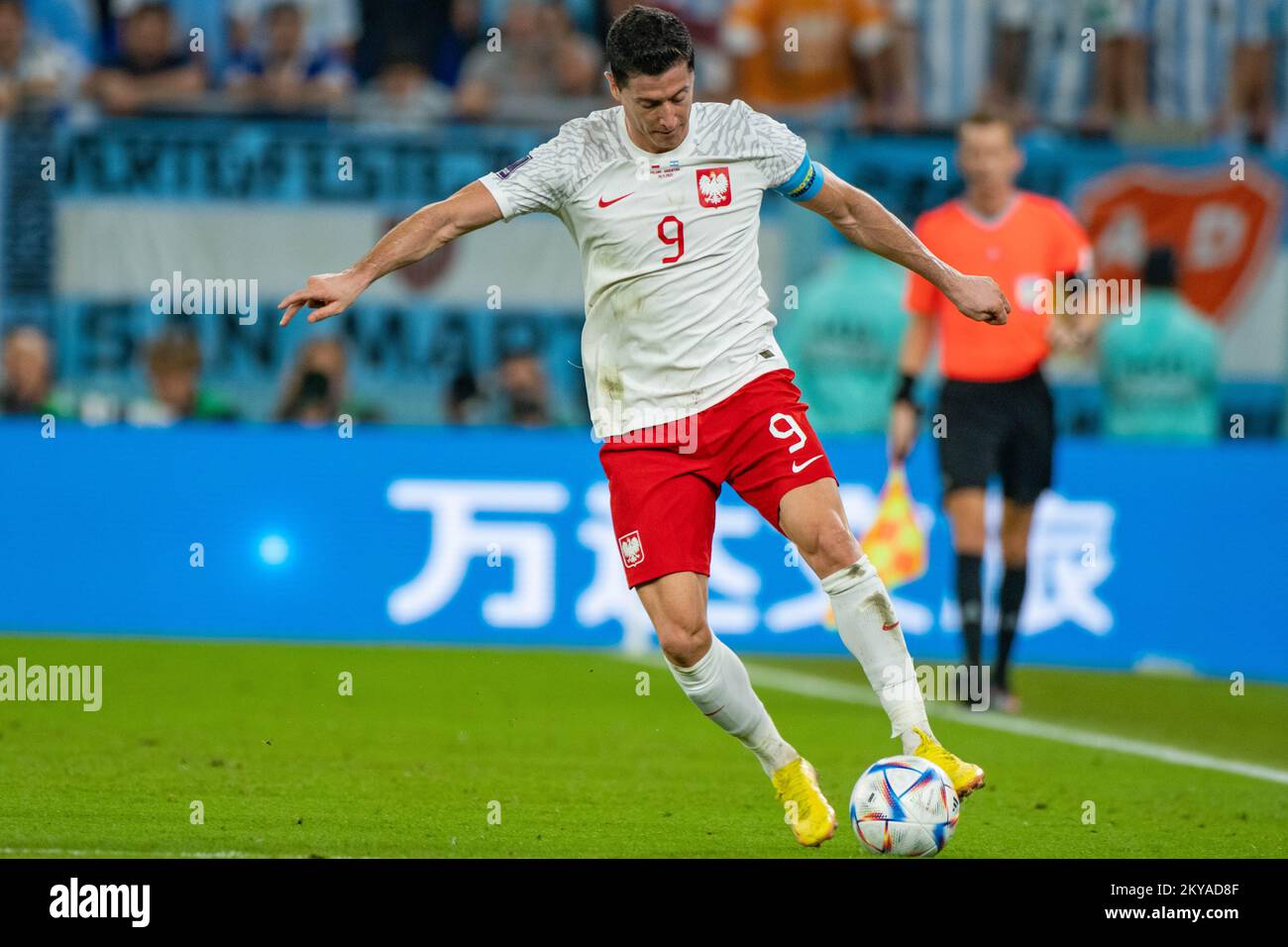 Doha, Qatar. 30th Nov, 2022. Robert Lewandowski of Poland during the ...