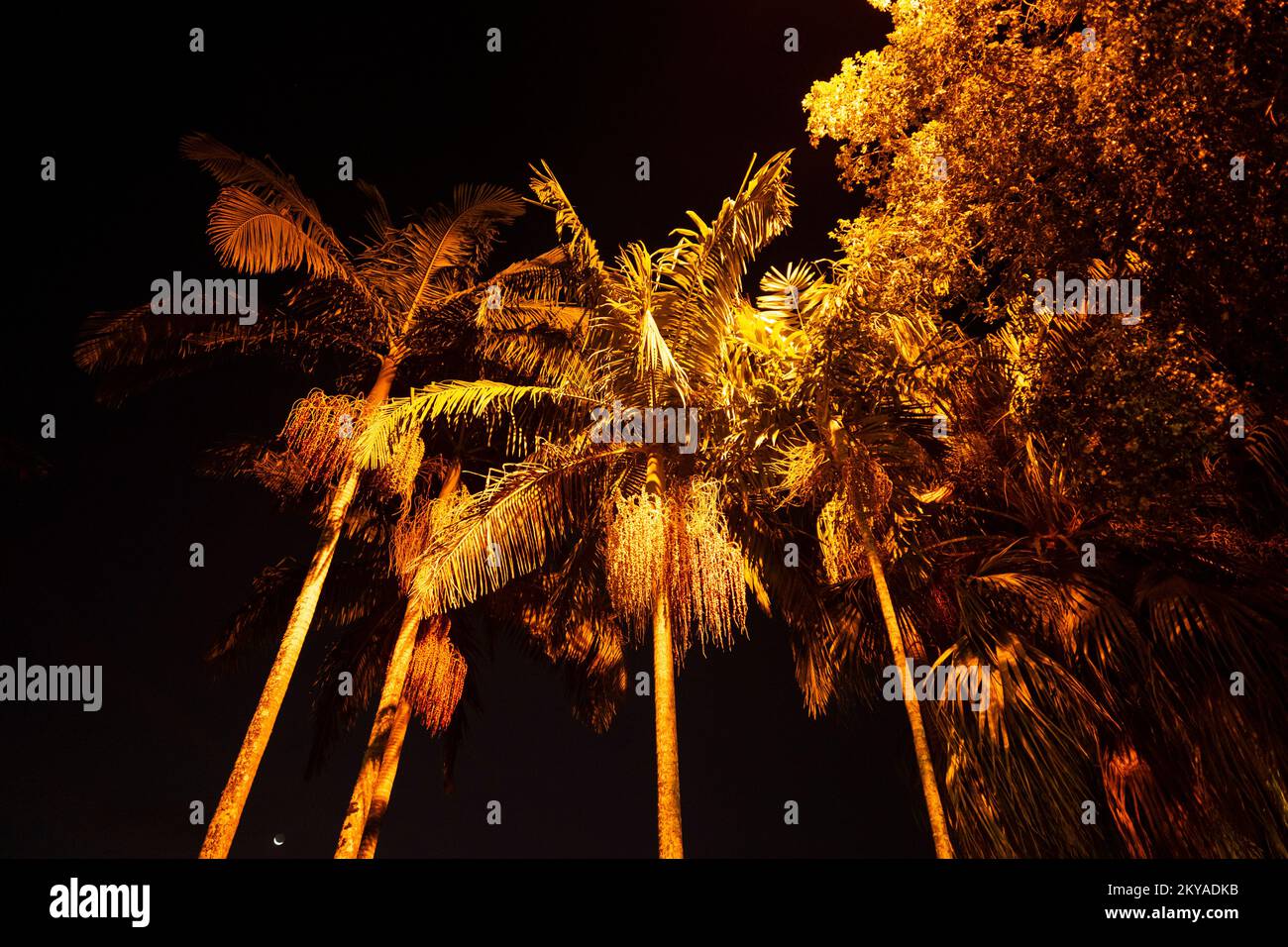 The Food Hub and Community Centre in Murwillumbah, northern new south ...