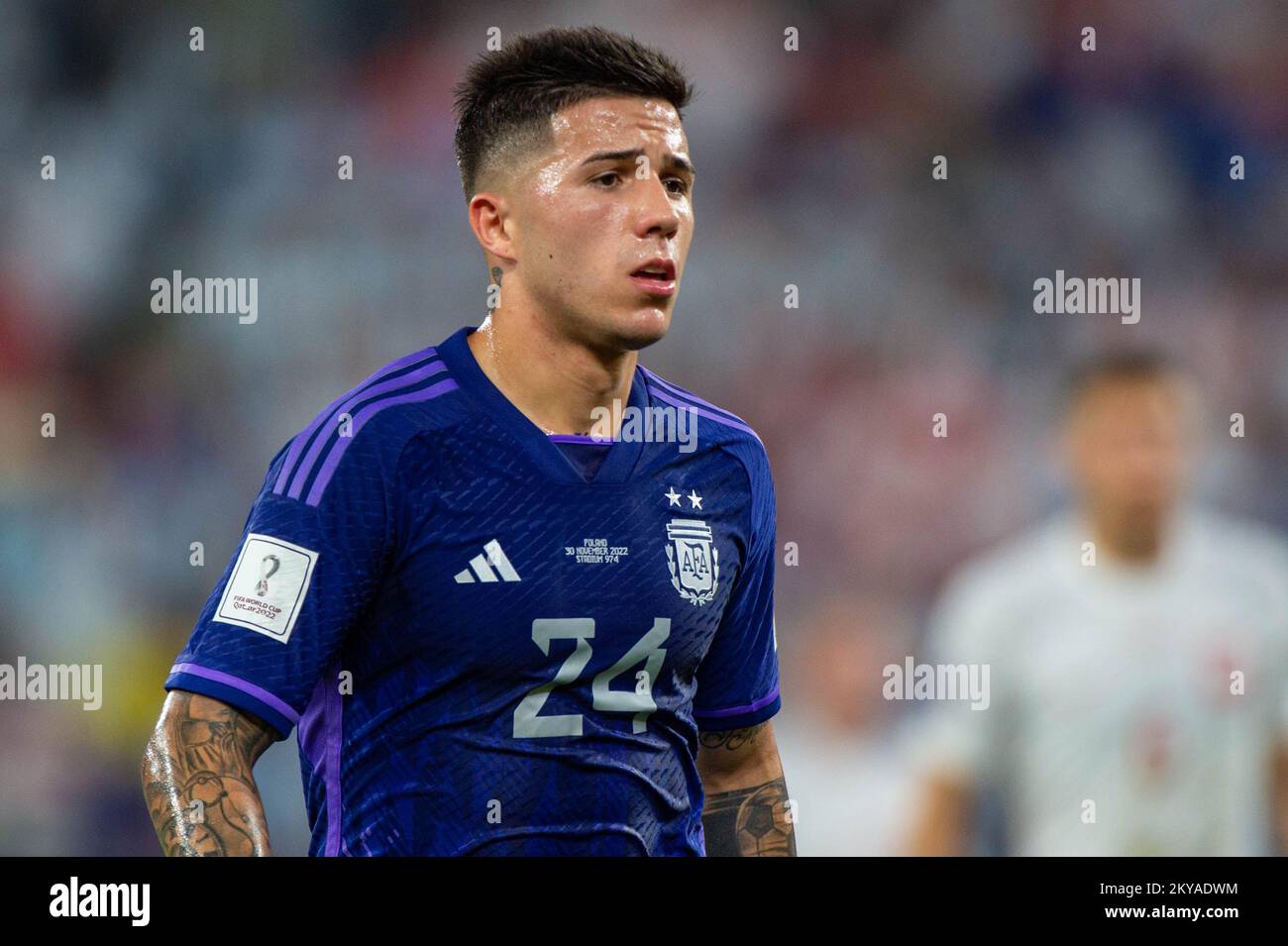 Doha, Qatar. 30th Nov, 2022. Enzo Fernandez of Argentina during the ...