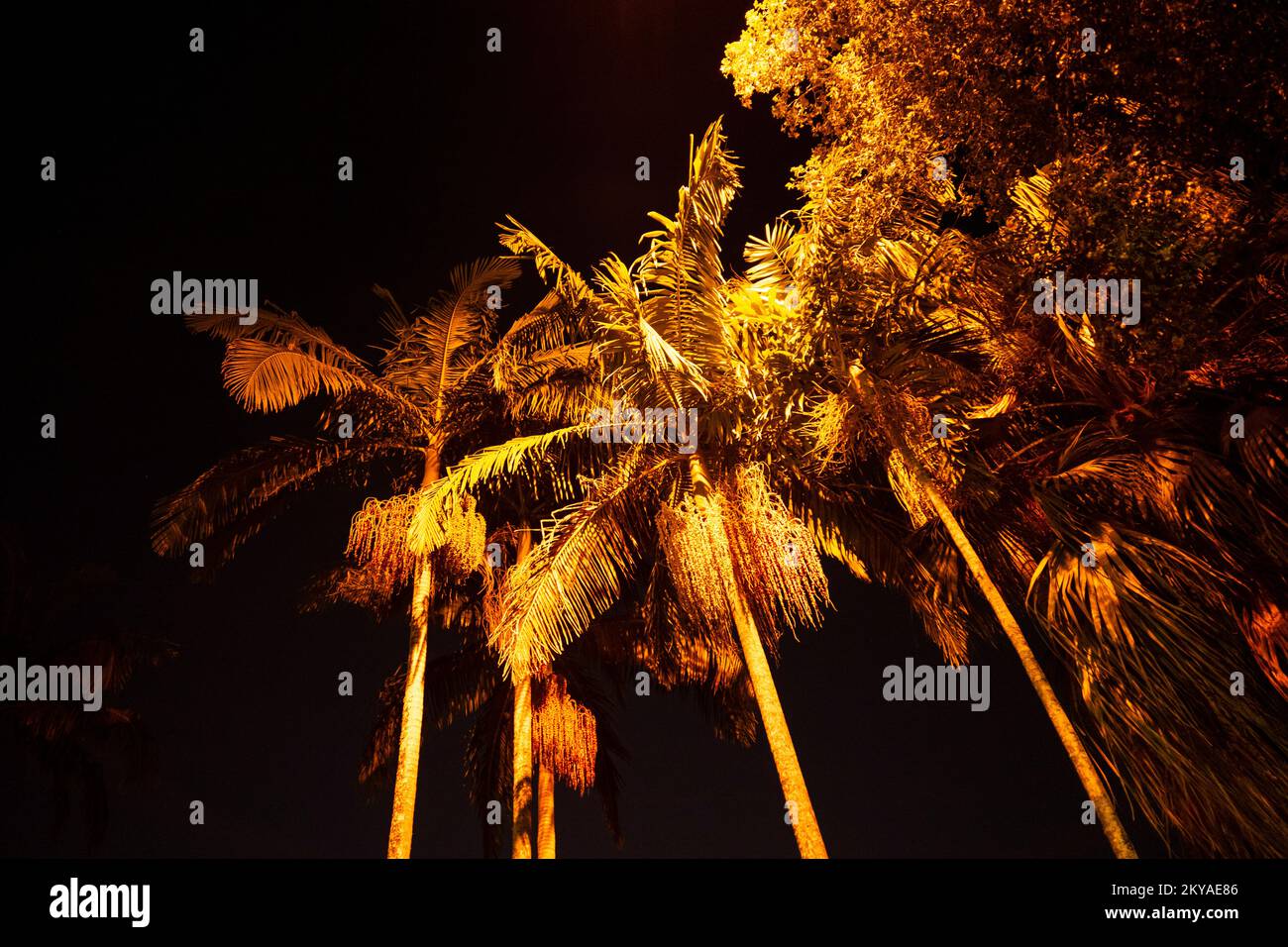 Food hub community centre hi-res stock photography and images - Alamy