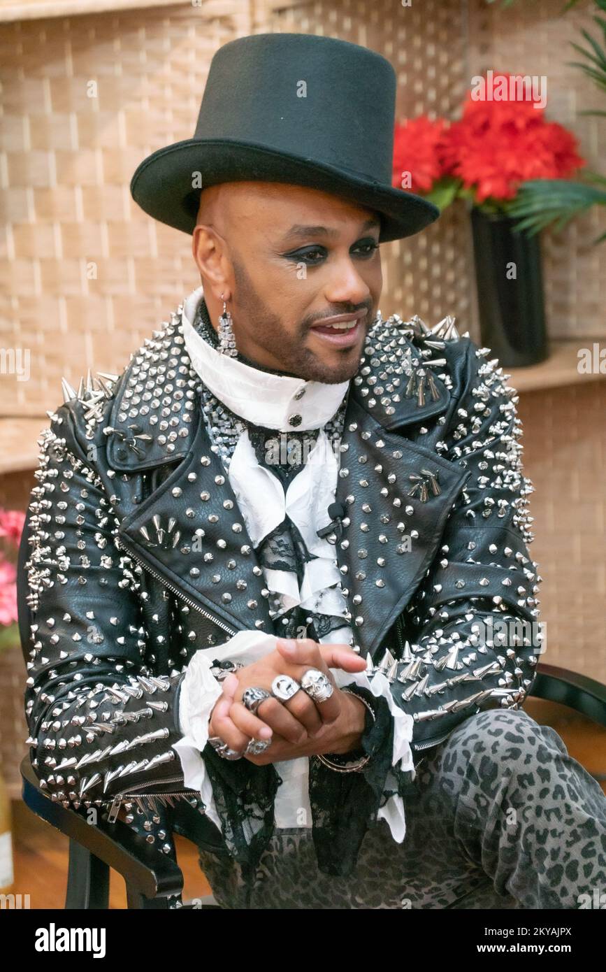 Popstar Aaron Paul on the Profiles with Mickey Burns show in New York ...