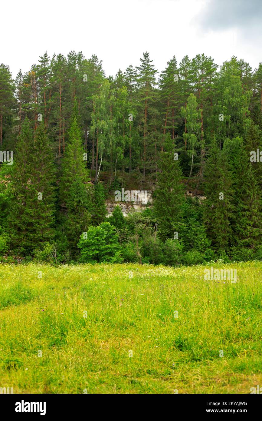 Chalky rock cliff near Derzha river, Tver region, Russia beautiful ...
