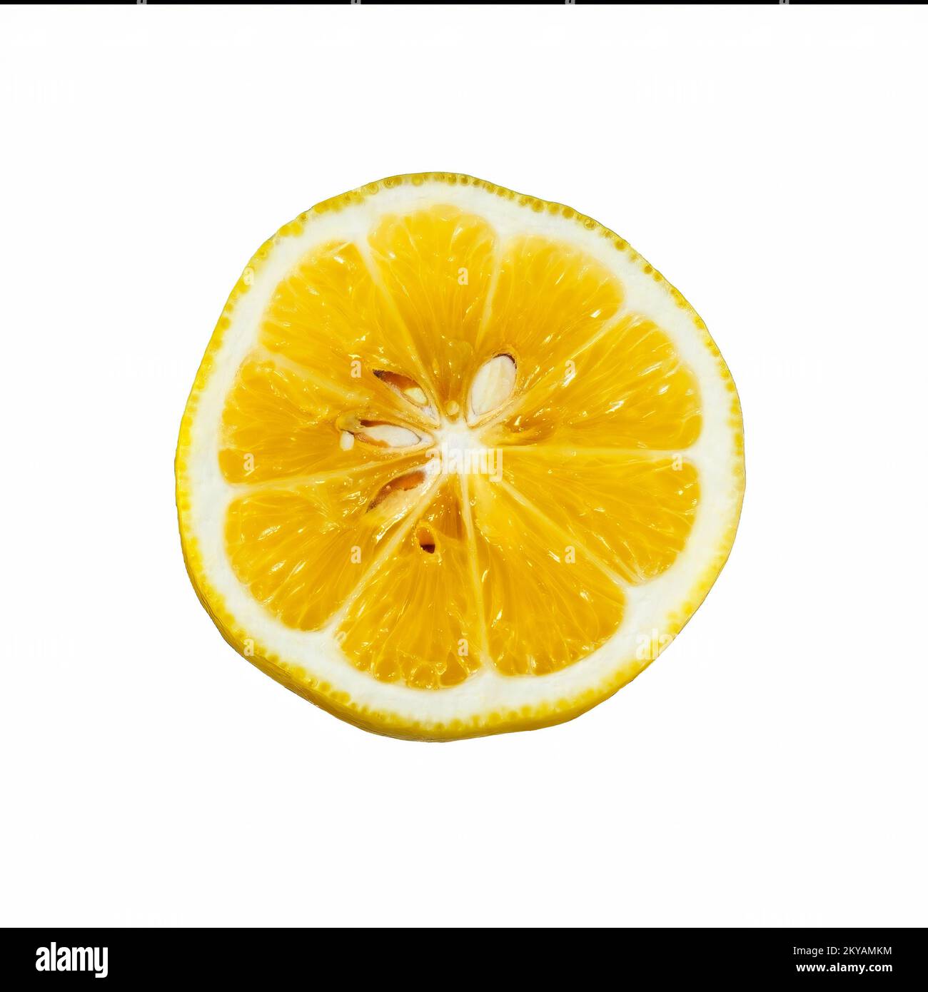 Lemon slice cut out on a white background Stock Photo - Alamy
