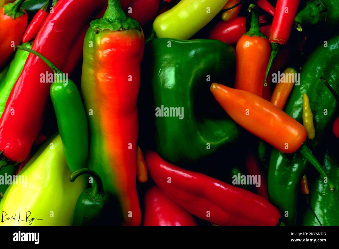 Chile picante hi-res stock photography and images - Alamy