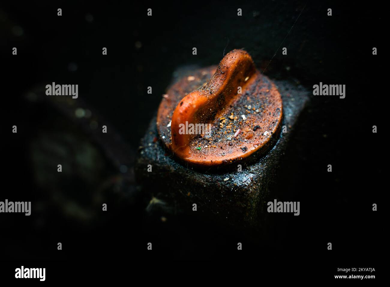 Red dirty oil dipstick cap. Filler neck for oil in a diesel engine of a ...