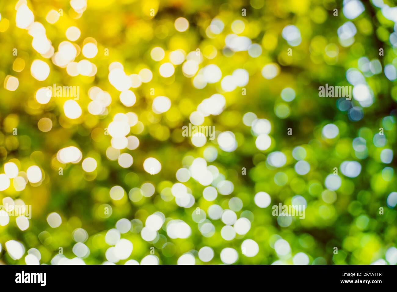 Blurred green summer background with highlights. Sun glare breaks ...