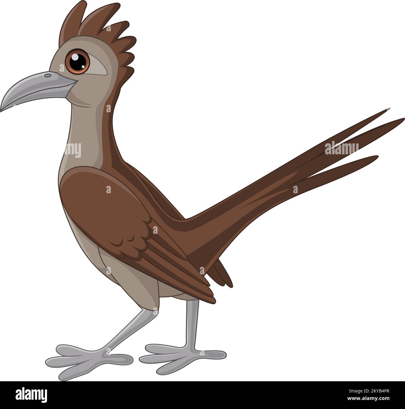 Cartoon roadrunner bird on white background Stock Vector Image & Art ...