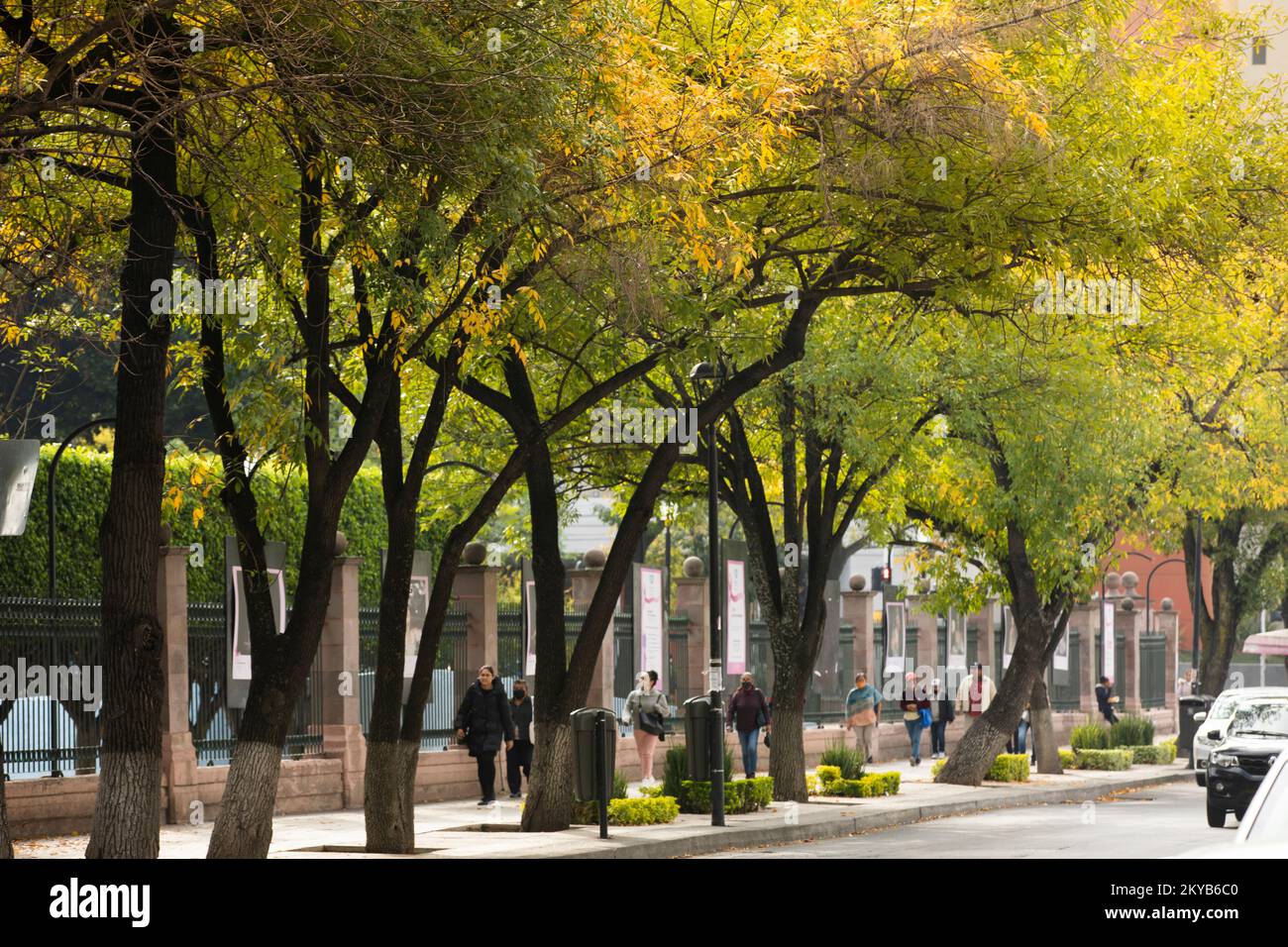 Mexico city public green space hi-res stock photography and images - Alamy