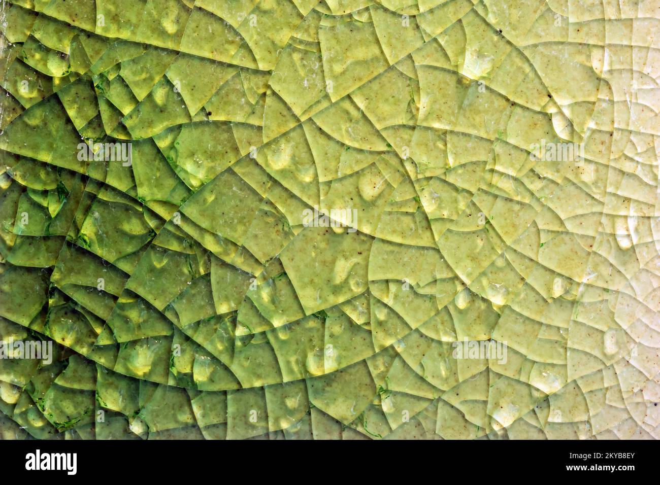 Close up to background and texture of stretch marks cracked on emerald ...