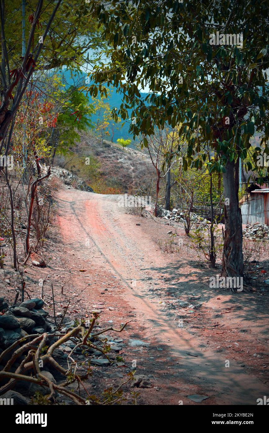 Timor springs hi-res stock photography and images - Alamy