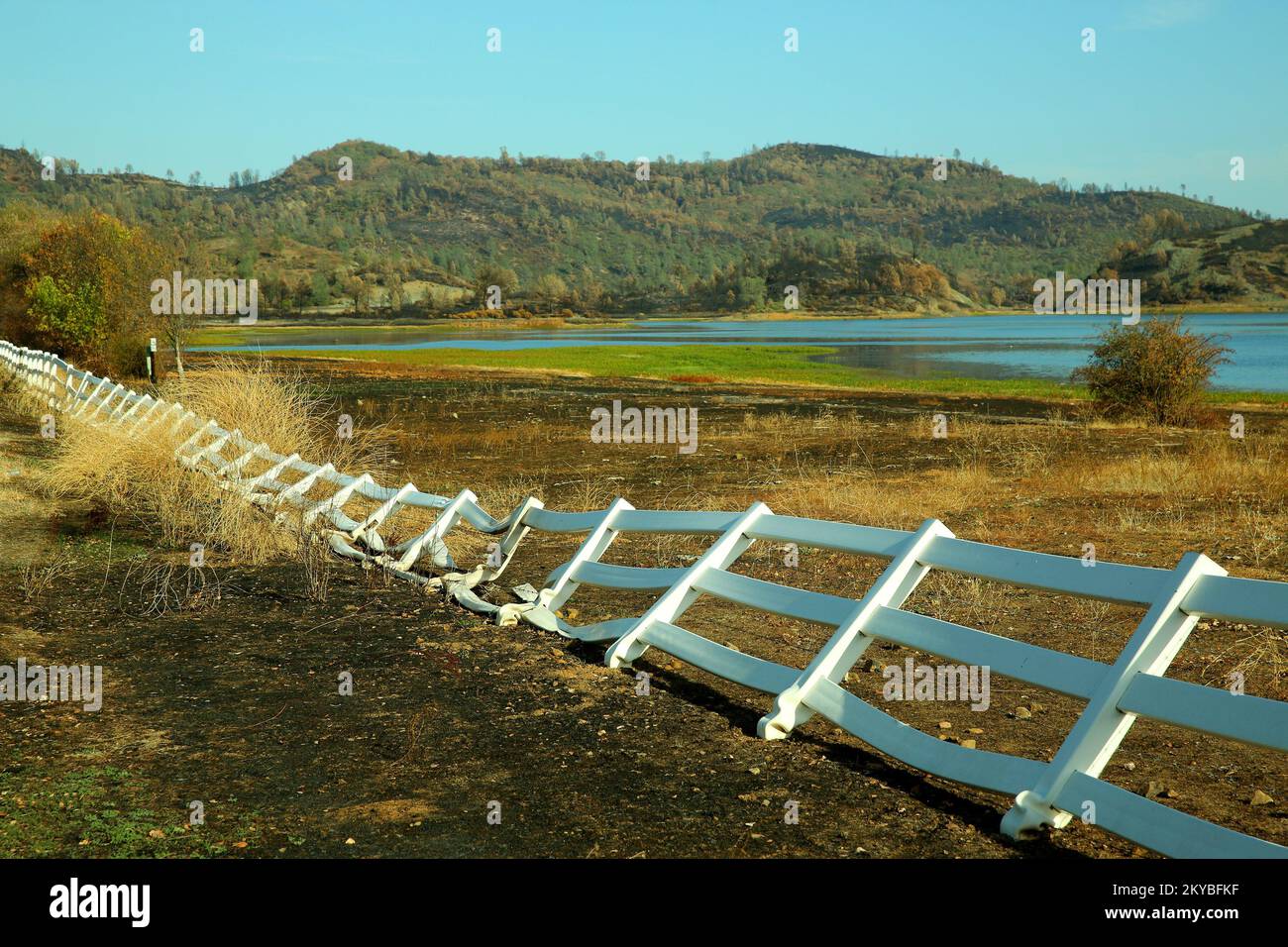 As catastrophic wildfires burned thousands of acres of pastures, the ...
