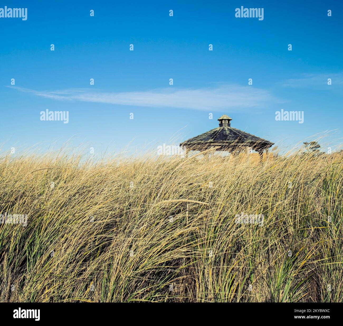 Gazebo mostly hidden by wind-swept dune grasses at the end of a bay ...