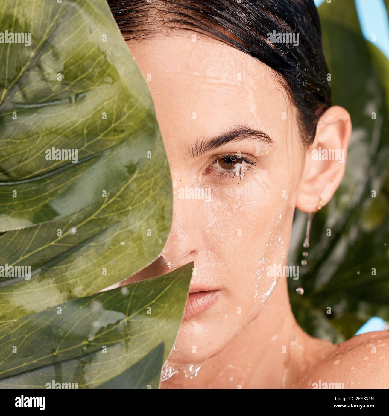 Monstera, skincare and woman in studio shower for natural makeup ...