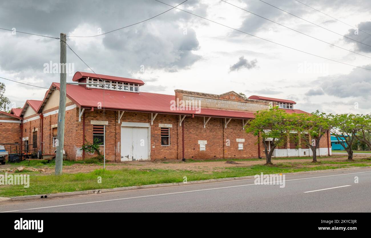 Biloela branch hi-res stock photography and images - Alamy