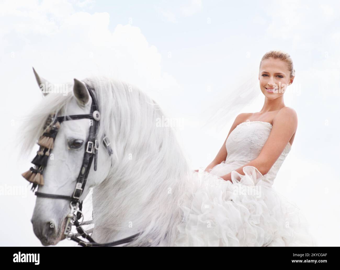 Stunning atop her steed - Wedding Day. A gorgeous bride posing for ...