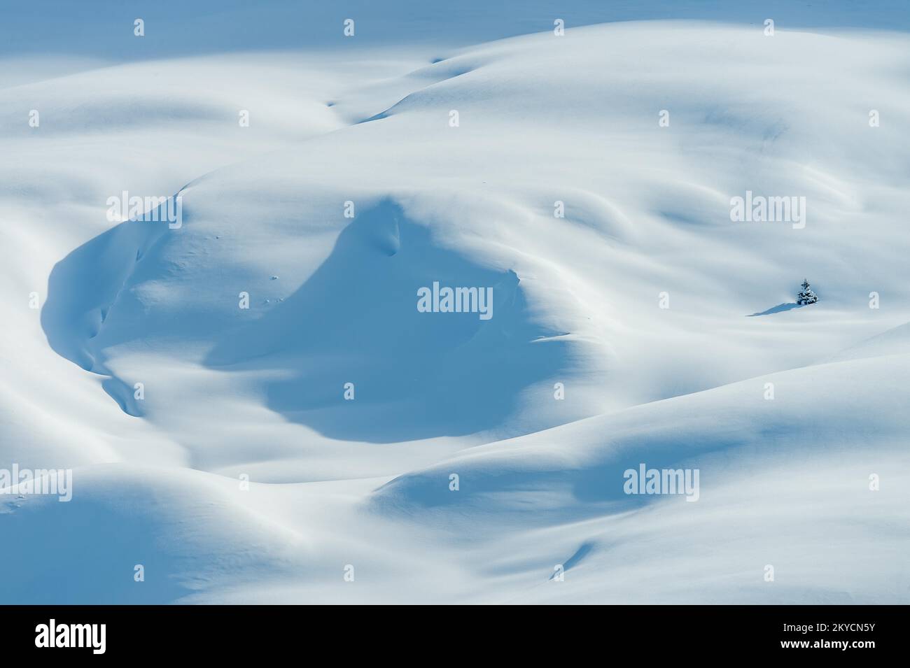 The structures of a freshly snow-covered winter landscape in the ...