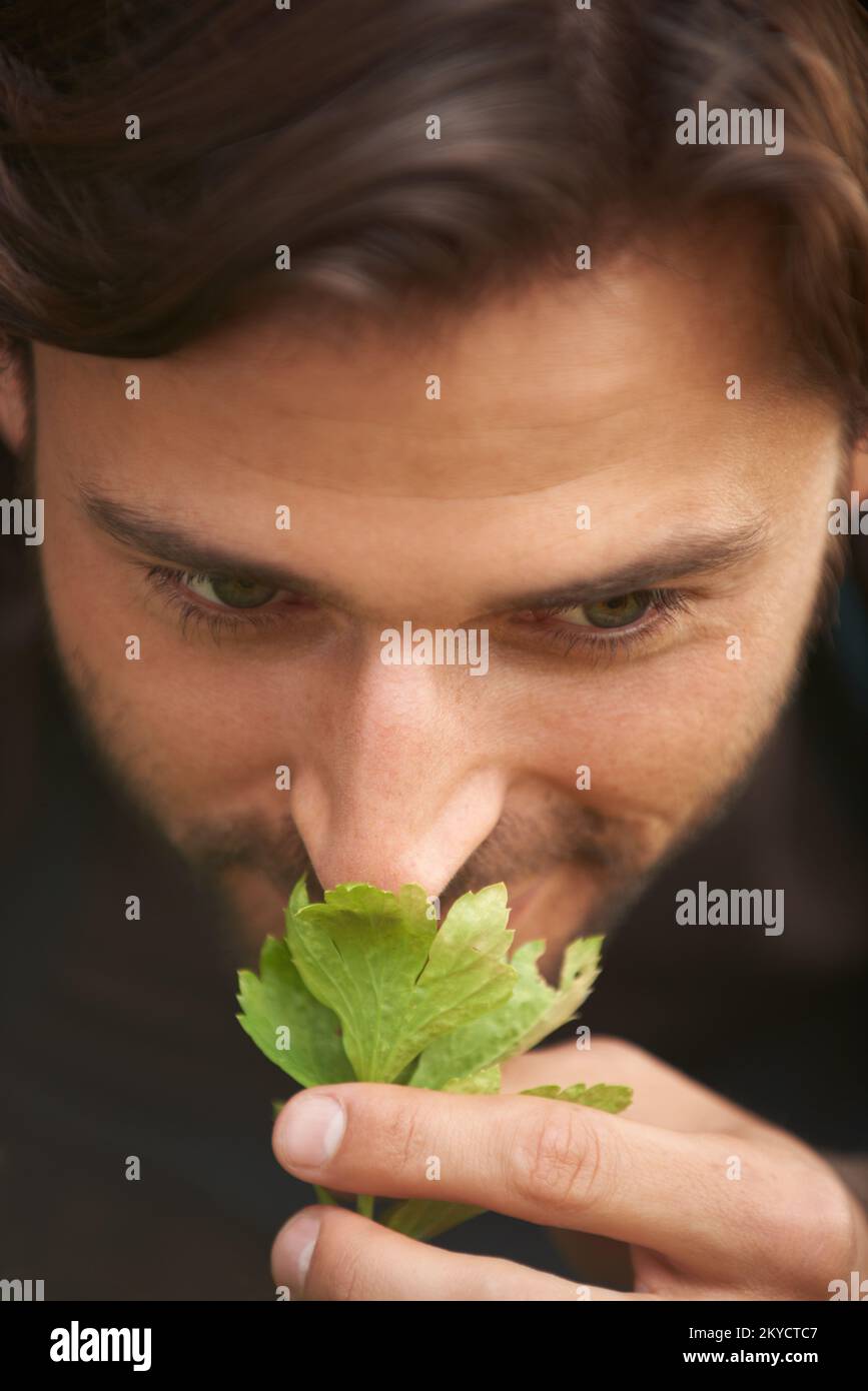 Breathe in natures goodness. A handsome bearded man smelling fresh ...