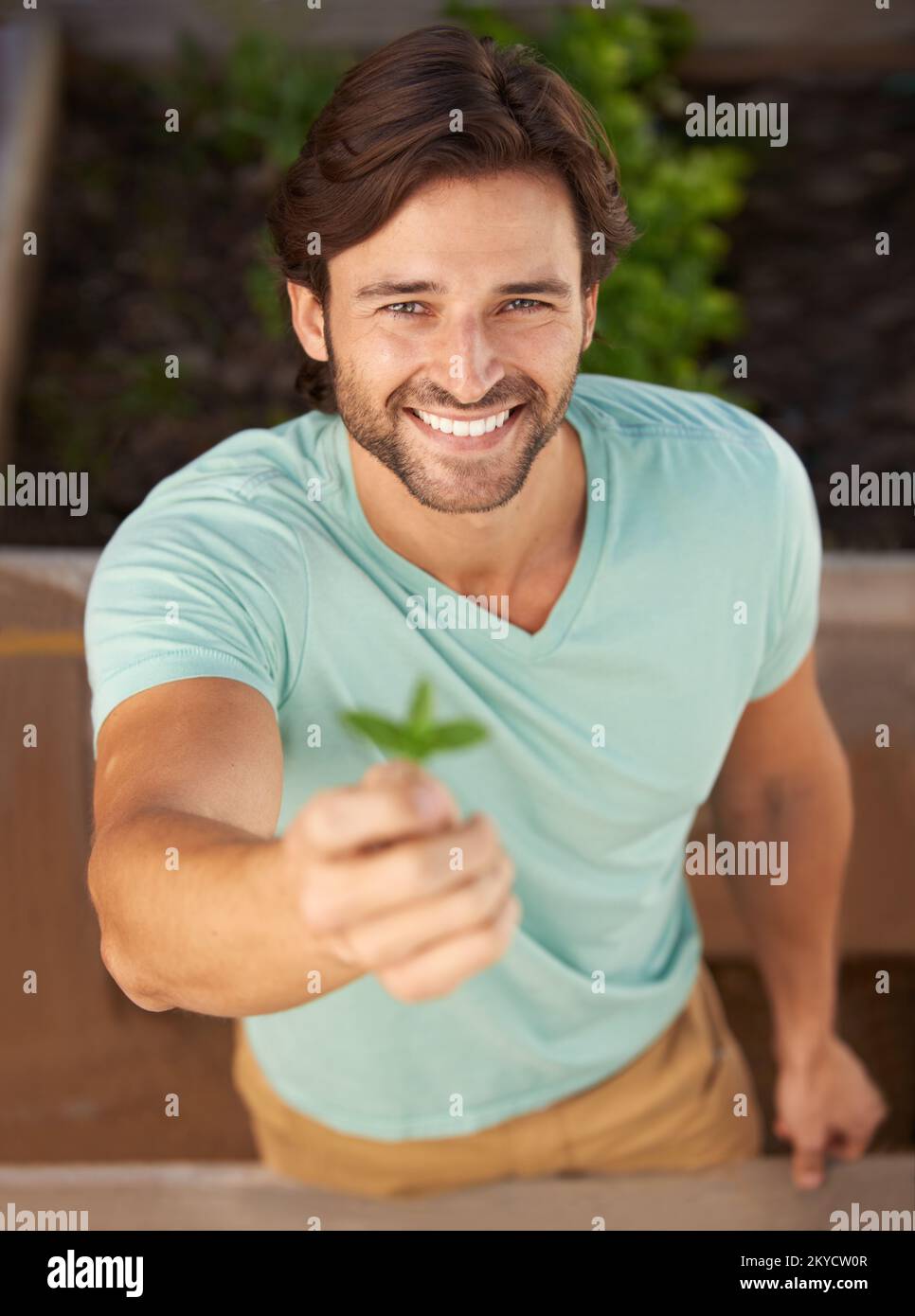 Can you guess what herb this is. A handsome man smiling as he offers ...