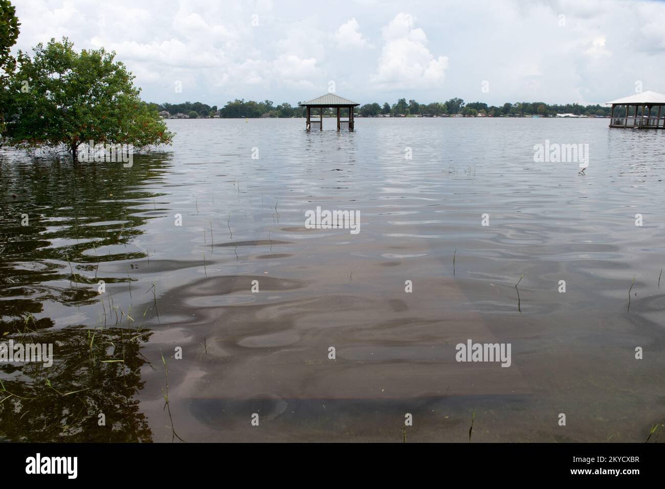 Floodwater covers a residential dock and trees in the False River in ...