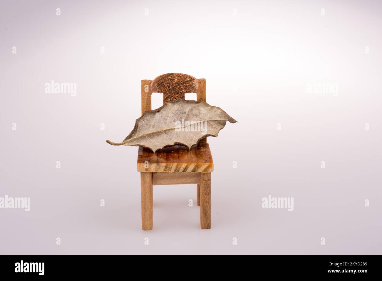 Dry leaf put on a little model chair on a white background Stock Photo ...