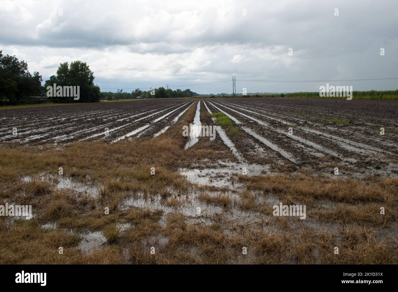 Saturated photographs hi-res stock photography and images - Alamy