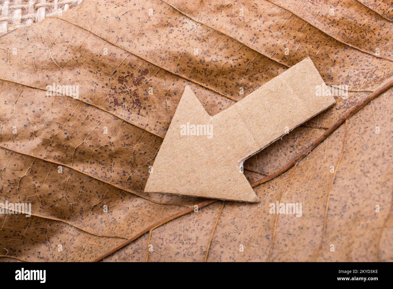 Leaf arrow hi-res stock photography and images - Alamy