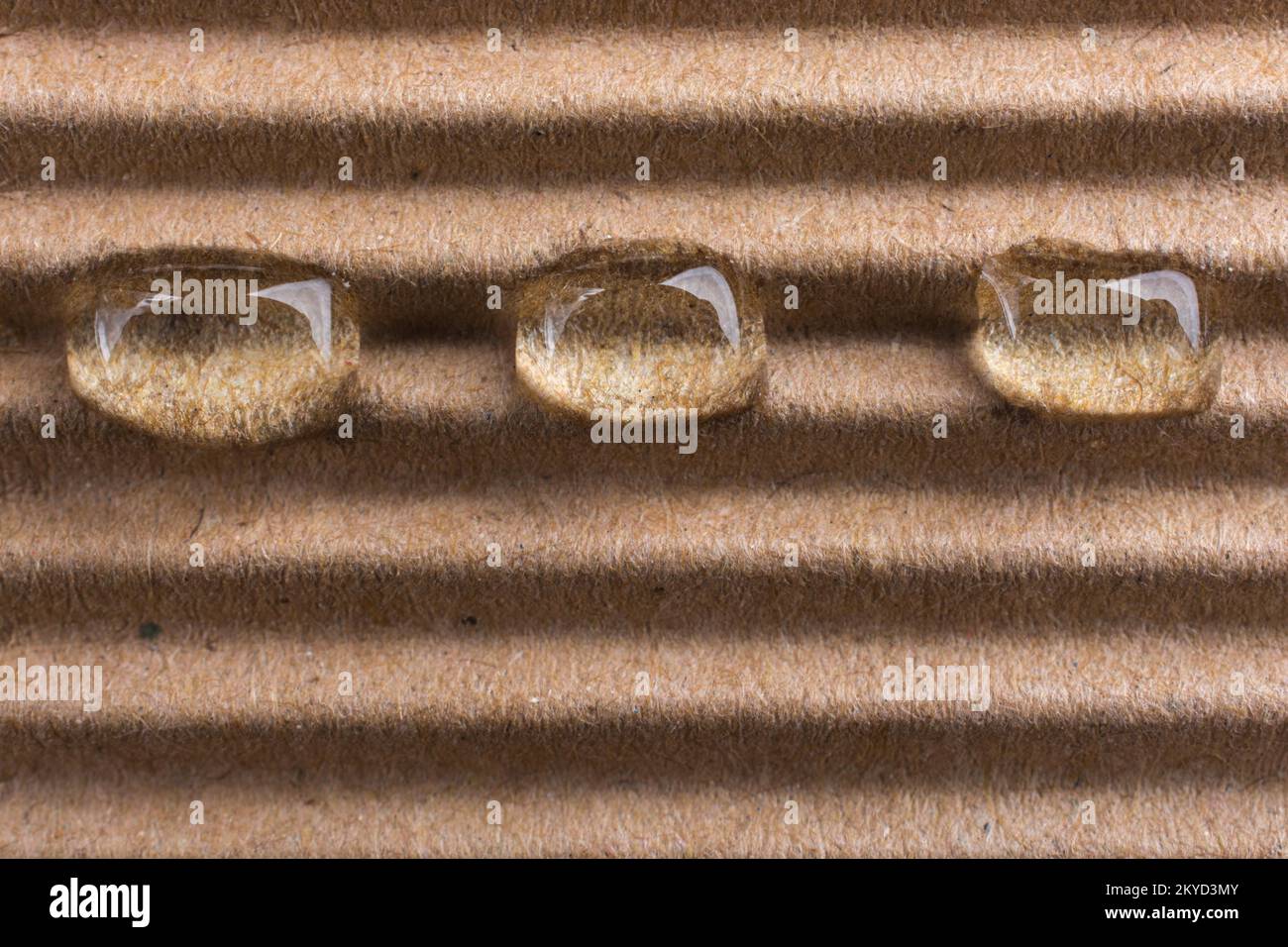 Round water drop in hi-res stock photography and images - Alamy