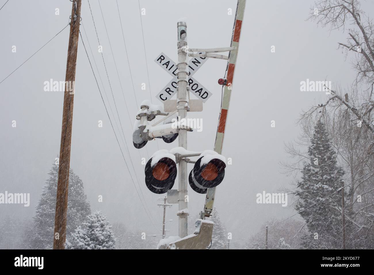3 way crossing rgate, sign, and warning lights at the 3rd Street ...