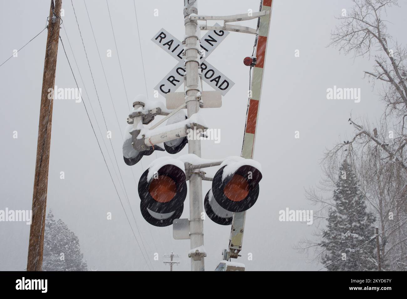 3 way crossing rgate, sign, and warning lights at the 3rd Street ...