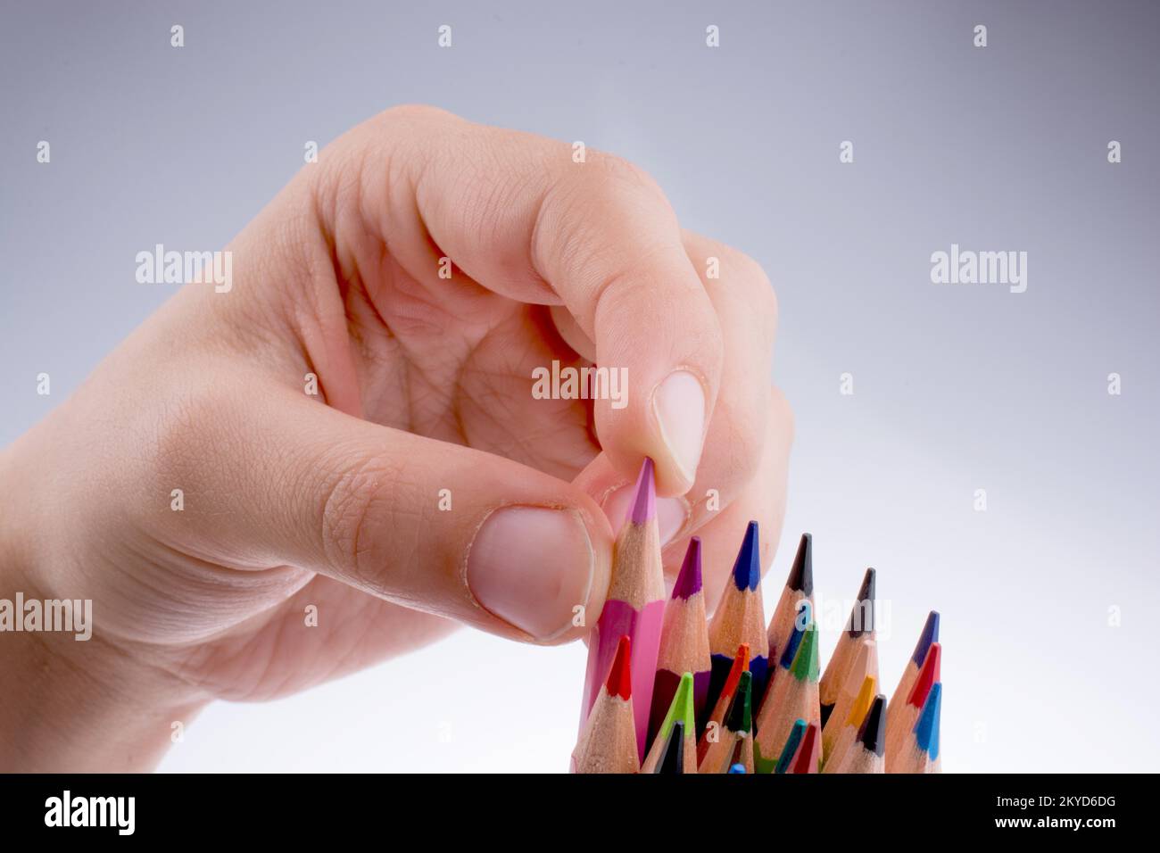 Hand holding color pencils on a white background Stock Photo - Alamy