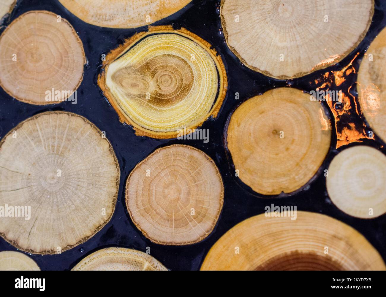 Wood Log cut in round thin pieces in view Stock Photo - Alamy