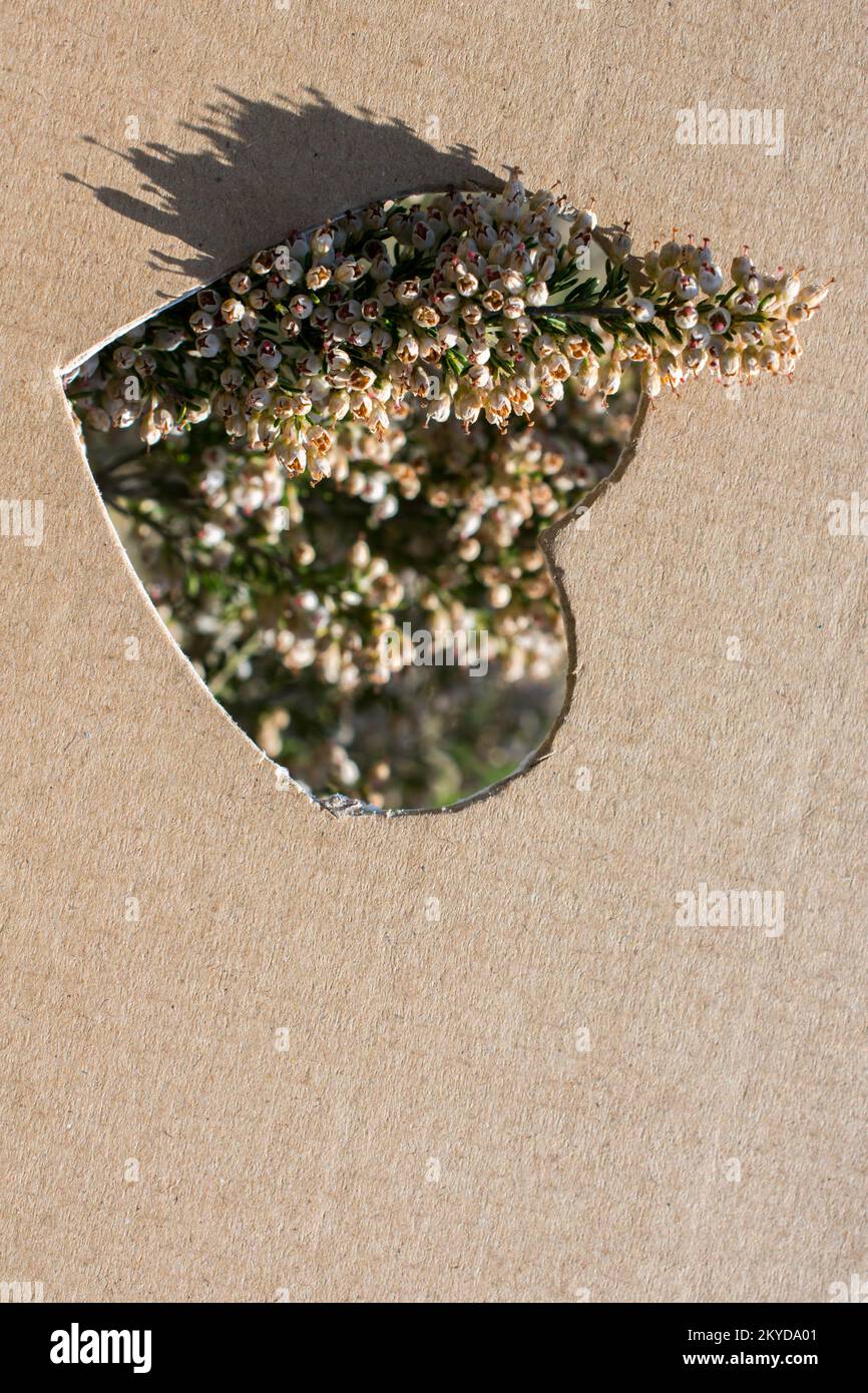 Flowers seen through heart shape cut out of cardboard Stock Photo - Alamy