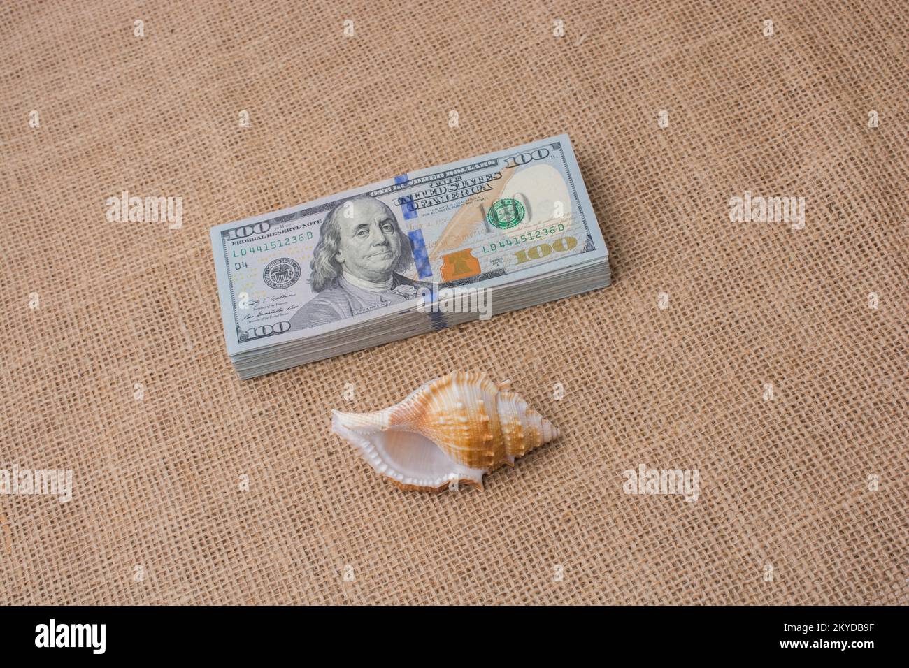 Sea shell placed on bundle of US dollar banknotes Stock Photo - Alamy