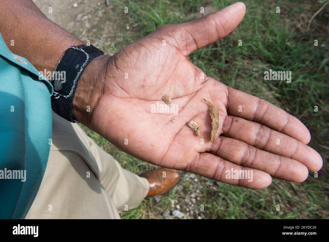 Dead crops farmer a hi-res stock photography and images - Alamy