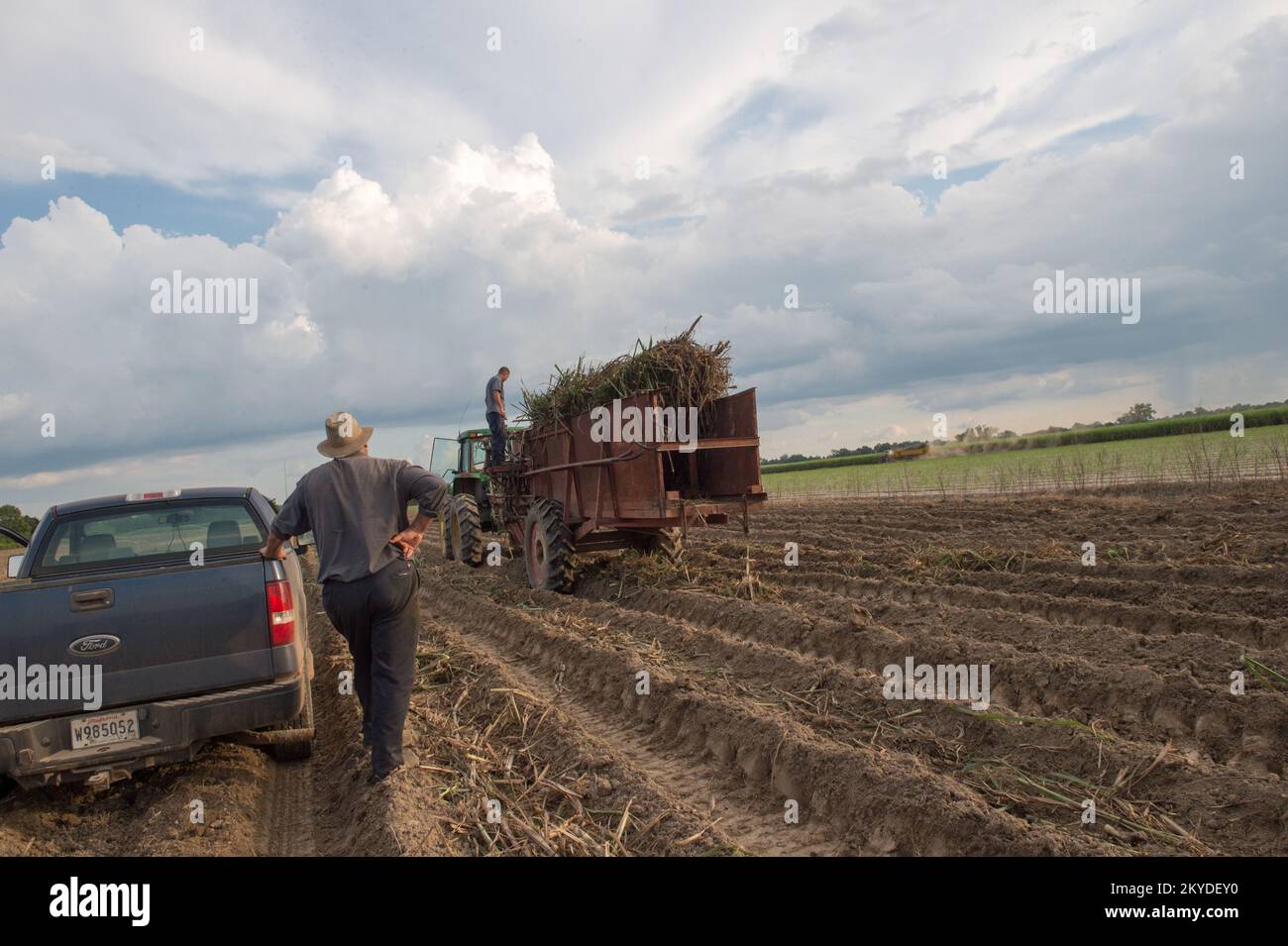 Farmer Ricky "Possum" Roussel (left) of Roussel Farm's checks in on his ...
