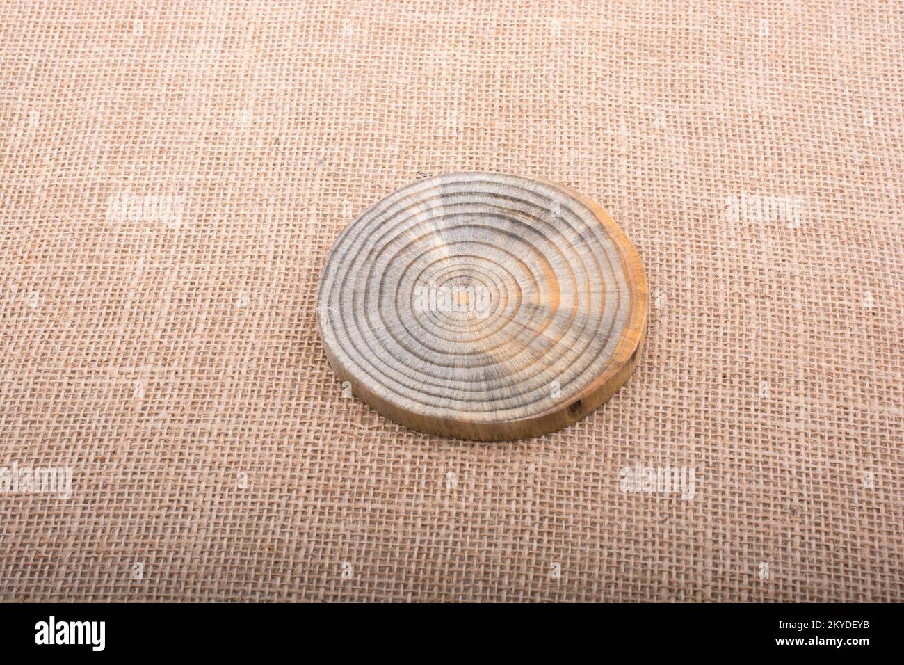Wood Log cut in round thin pieces in view Stock Photo - Alamy