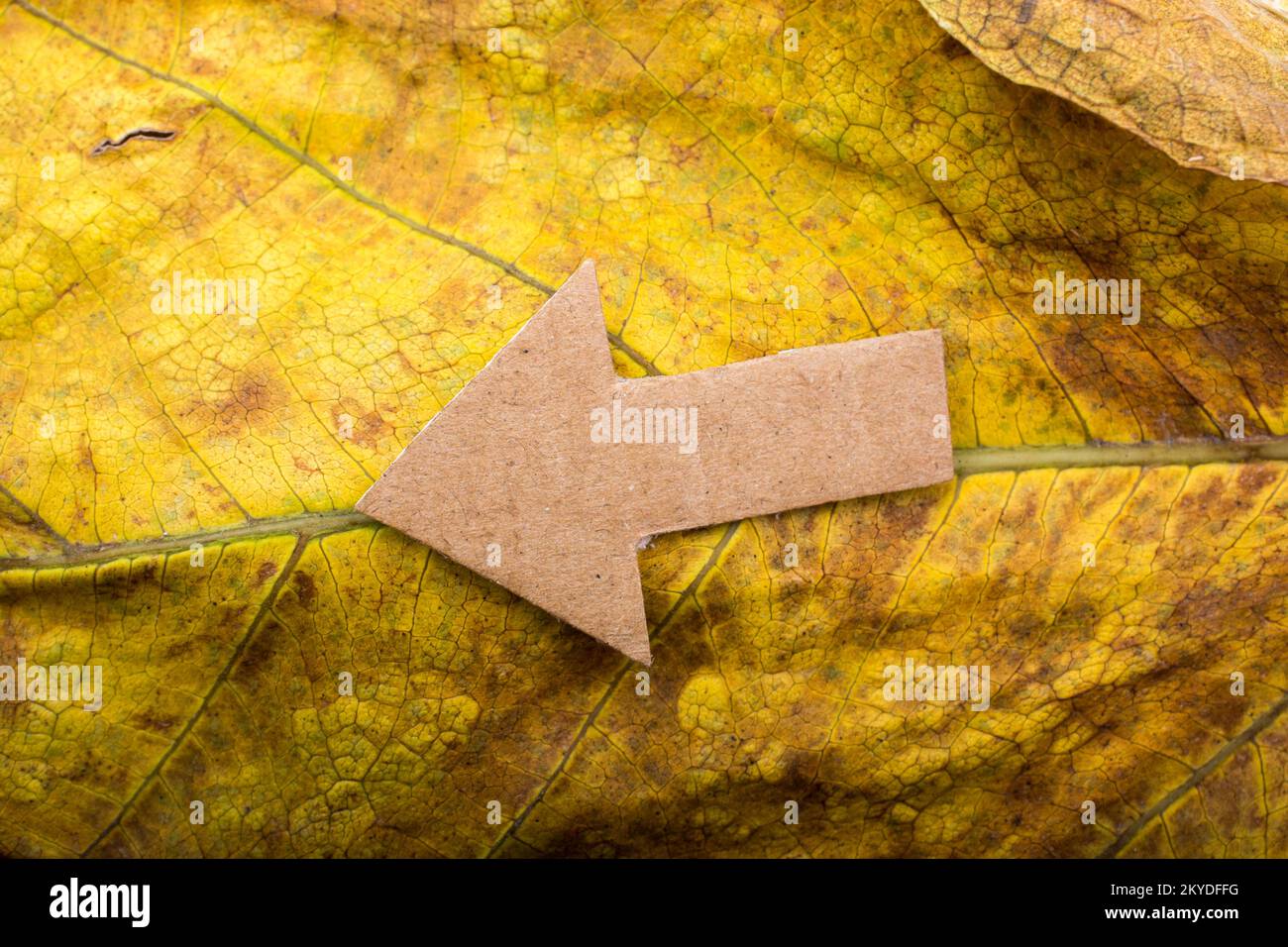 Leaf arrow hi-res stock photography and images - Alamy