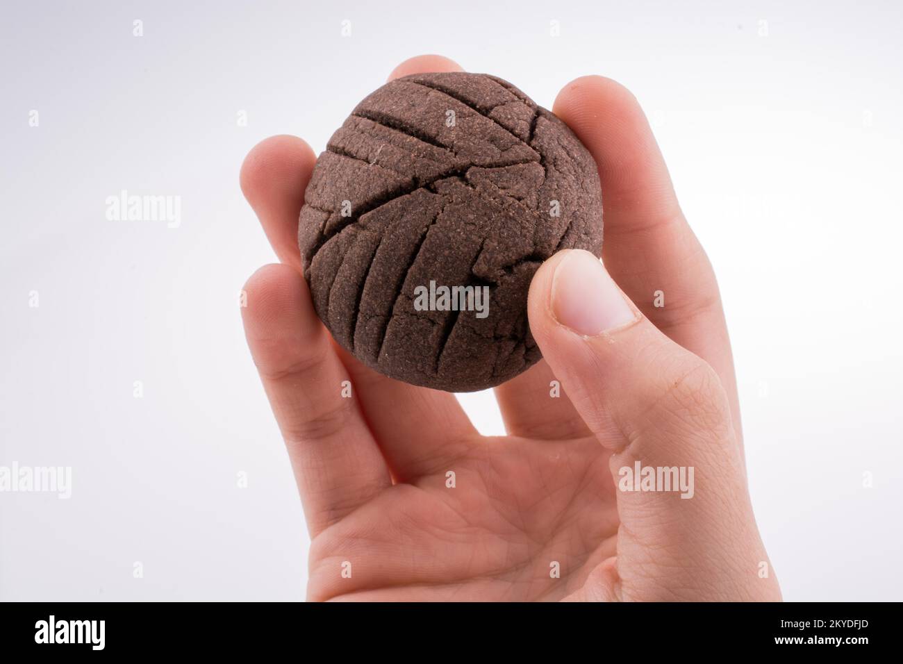 Hand holding a chocolate cookie on a white background Stock Photo - Alamy