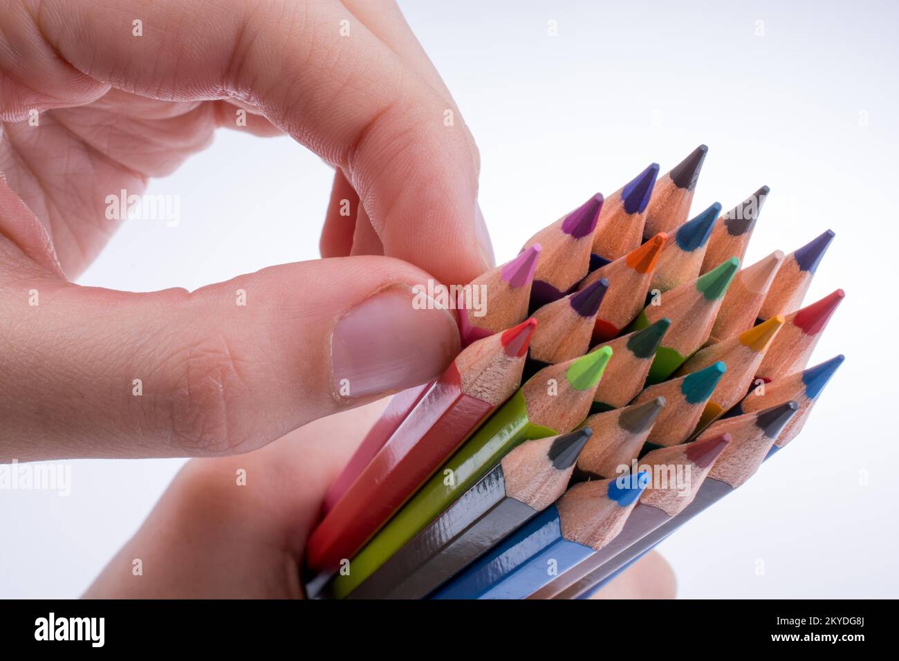 Hand holding color pencils on a white background Stock Photo - Alamy